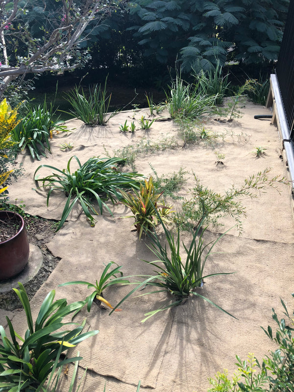 Jute Matting - 750gsm – Aussie Environmental