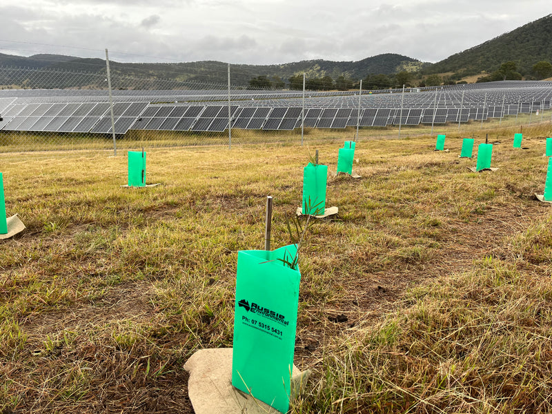 Tree Guards: Leading Plastic Tree Protection in Australia [2024 ...