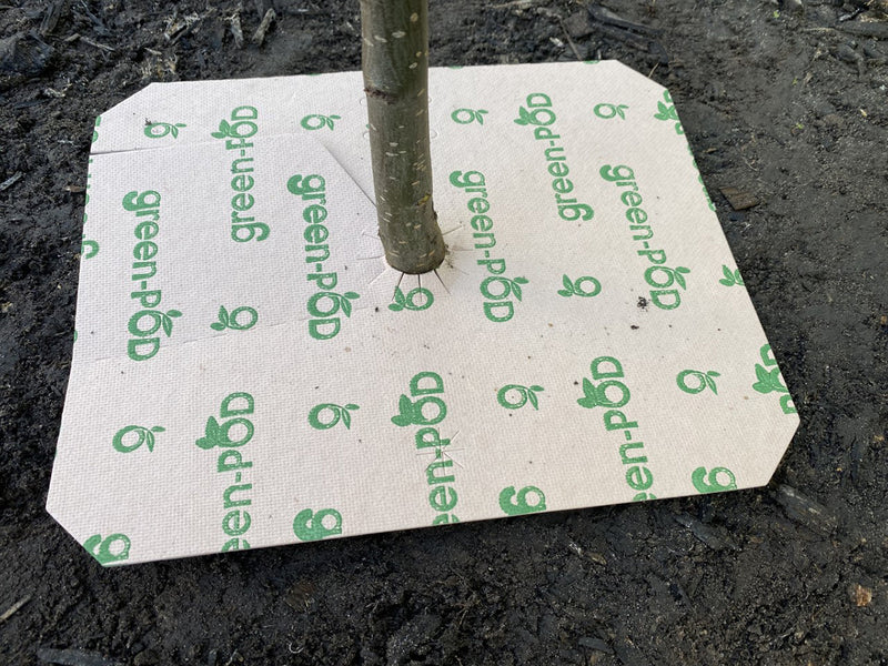 GreenMat 330mm x 365mm Recycled Paper Weedmat - Pack of 25 – Aussie ...