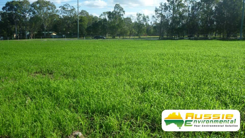 Hydromulching & Spray Grass Services Brisbane – Aussie Environmental