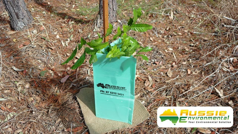 Tree Guards: Leading Plastic Tree Protection in Australia [2024 ...